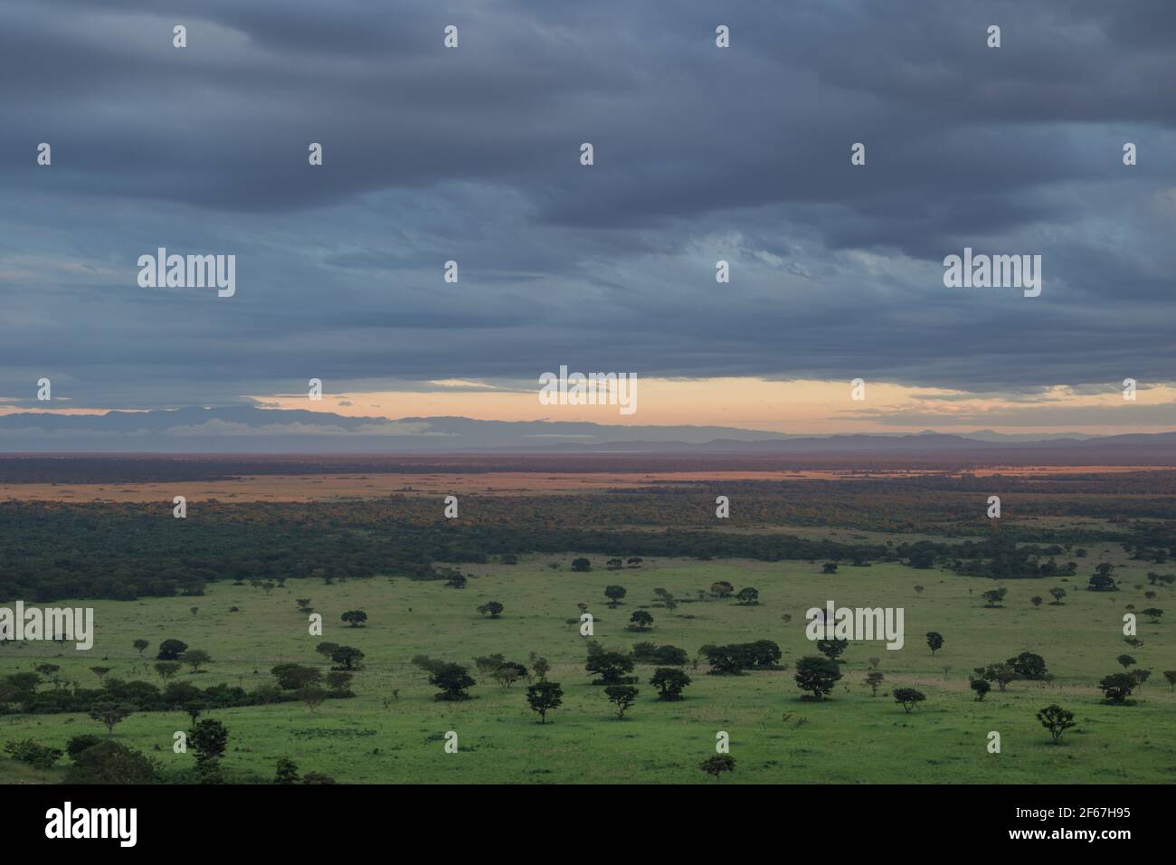Savanna bush landscape hi-res stock photography and images - Alamy