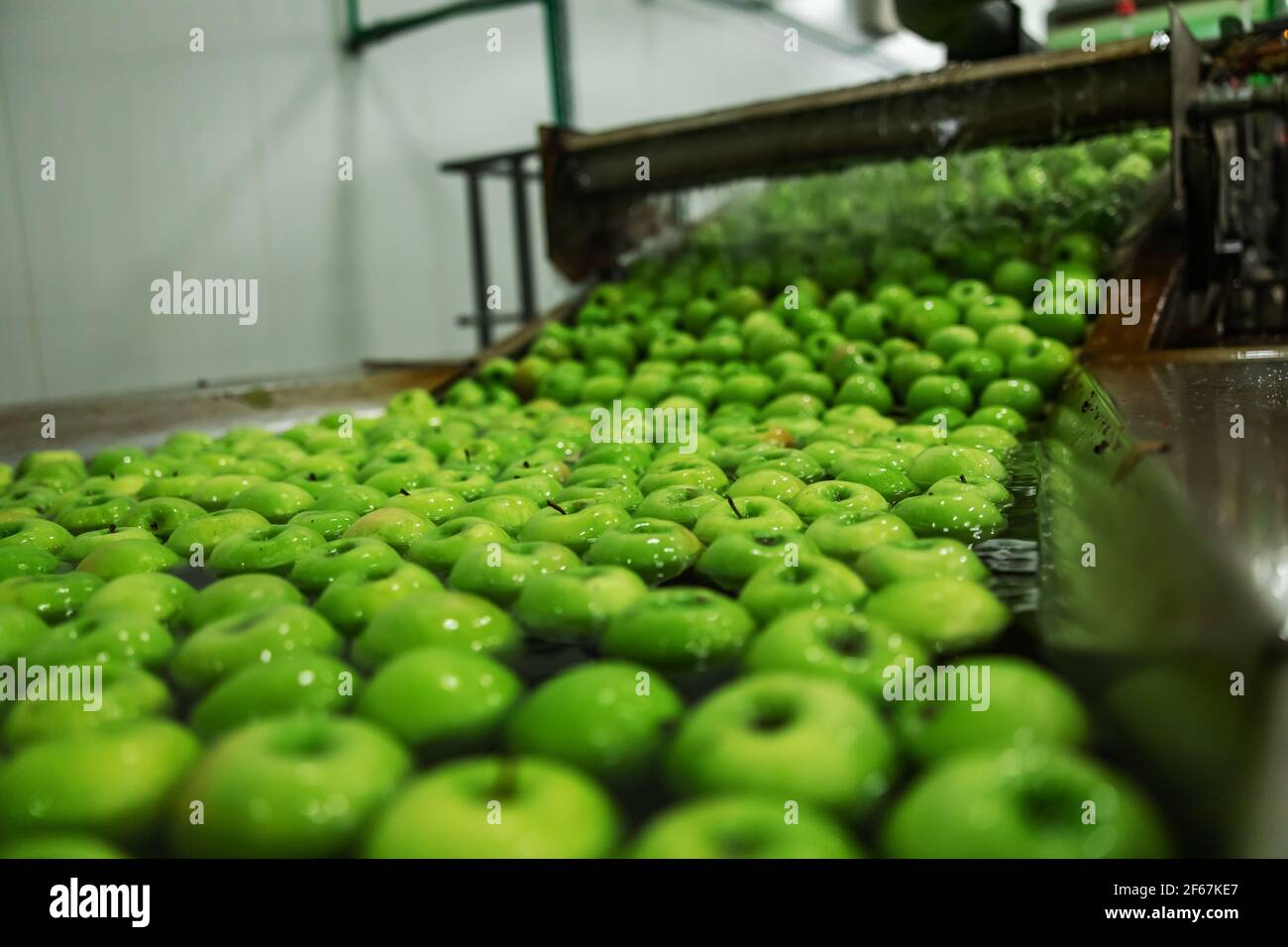 Apple packing workers hi-res stock photography and images - Alamy