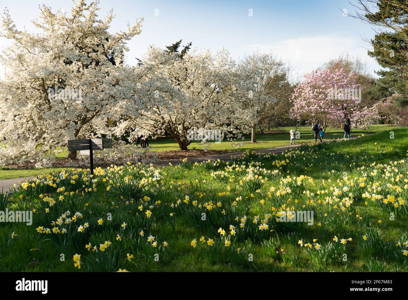 London, UK. 30th March, 2021. Kew Gardens in London was the hottest ...