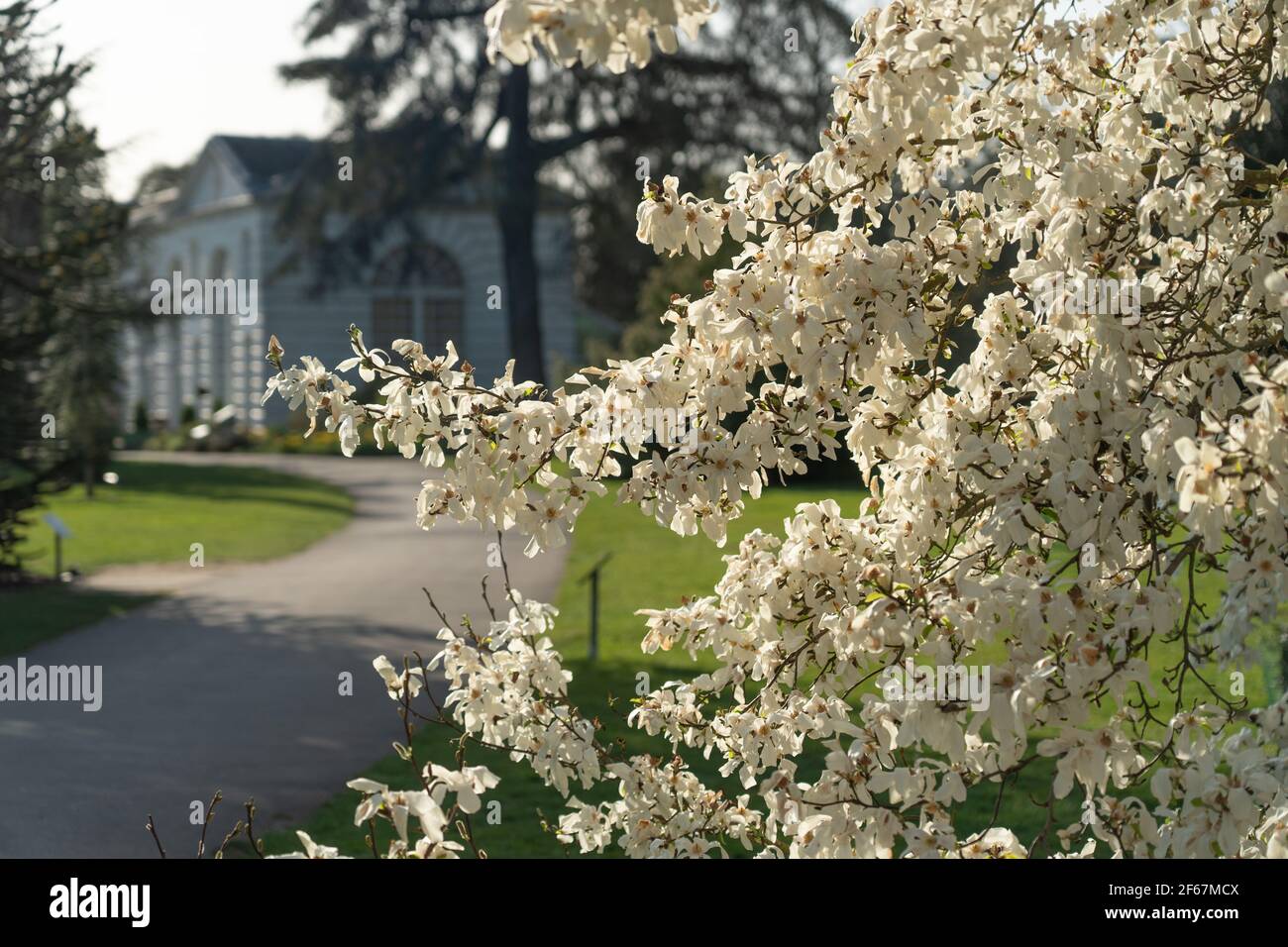 London, UK. 30th March, 2021. Kew Gardens in London was the hottest ...