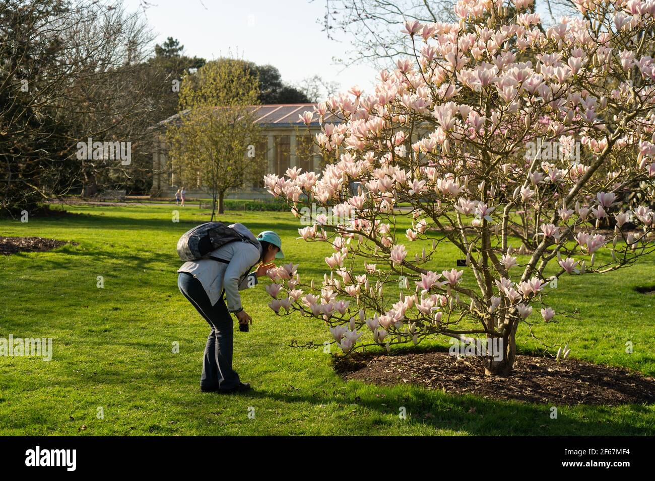 London, UK. 30th March, 2021. Kew Gardens in London was the hottest ...