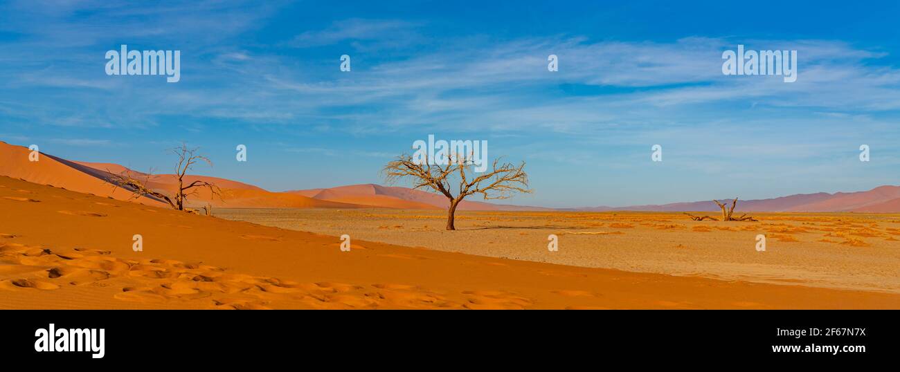 Panorama from Dunes of Namib Desert at Sossusvlei in the morning time ...