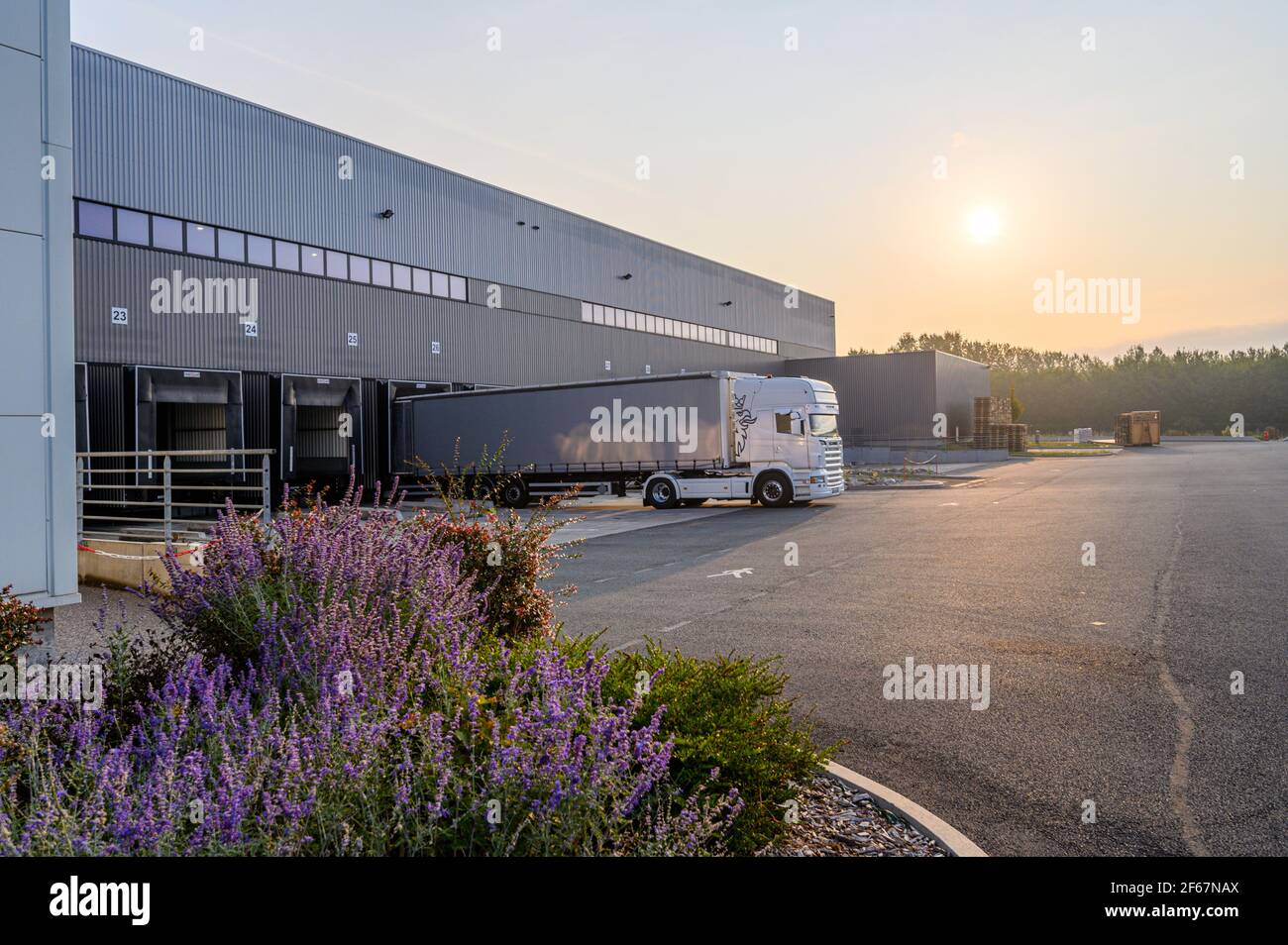 Truck with trailer standing at loading bay in logistic areal. Early ...