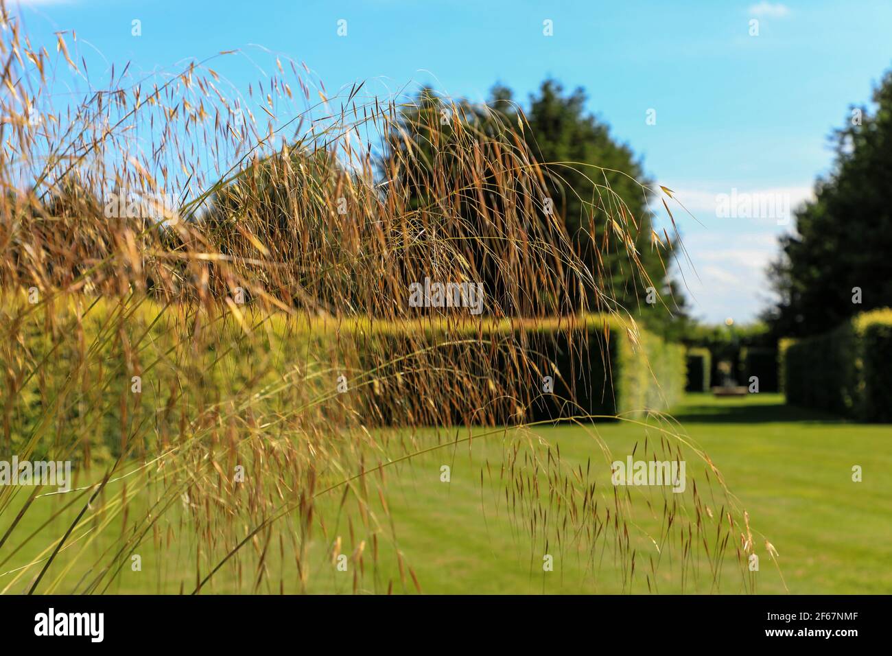 East Ruston Old Vicarage Garden, East Ruston, Norfolk, England, UK ...