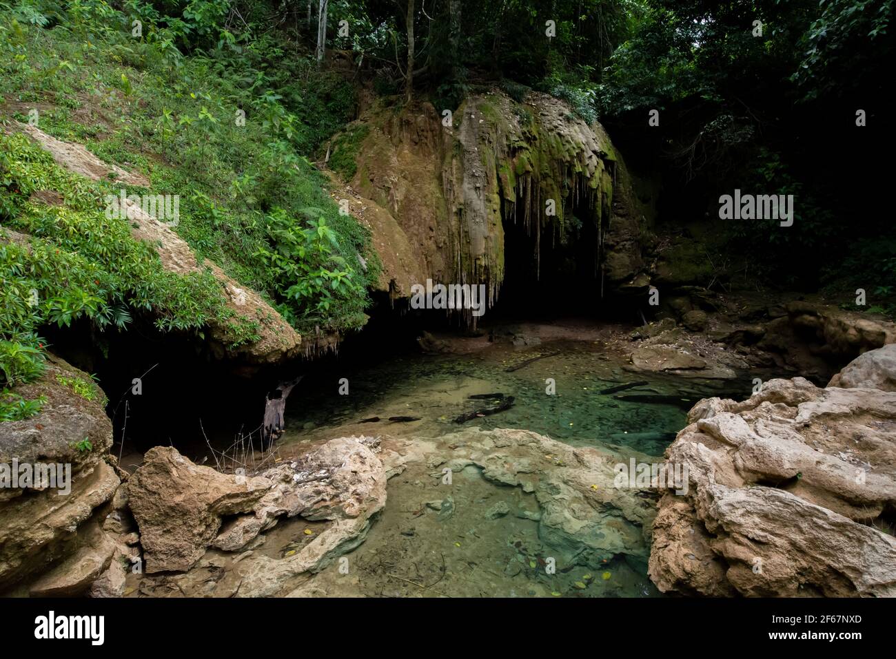 Bonito brazil hi-res stock photography and images - Alamy