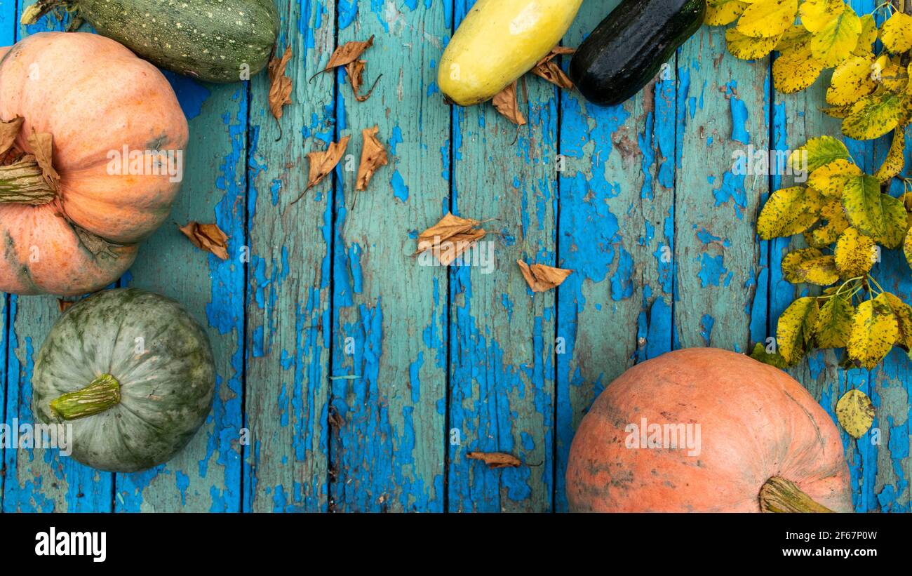 Flat composition with bright colorful autumn leaves and pumpkin on old ...