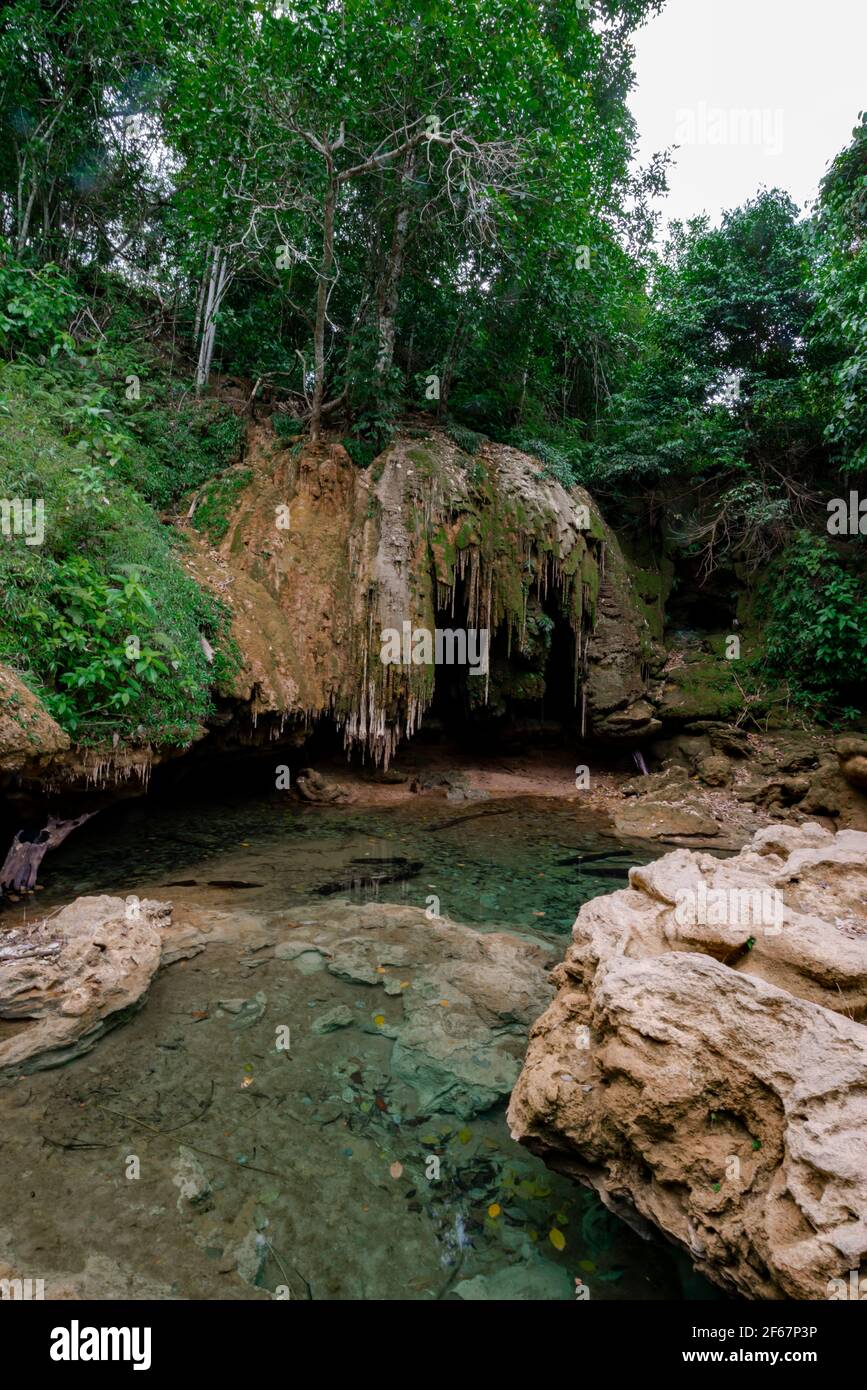 A cave in the jungle in bonito brazil Stock Photo - Alamy