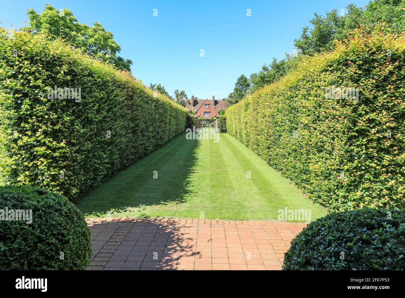 The King's Walk at East Ruston Old Vicarage Garden, East Ruston ...