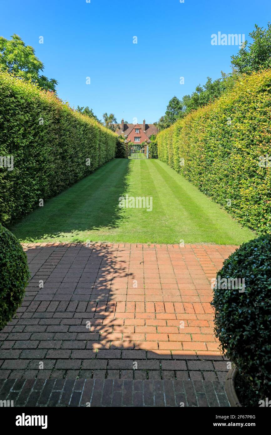 The King's Walk at East Ruston Old Vicarage Garden, East Ruston ...
