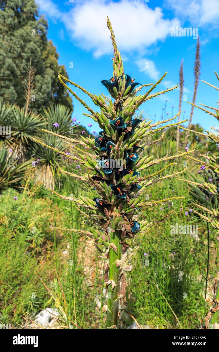 Wash plant hi-res stock photography and images - Alamy