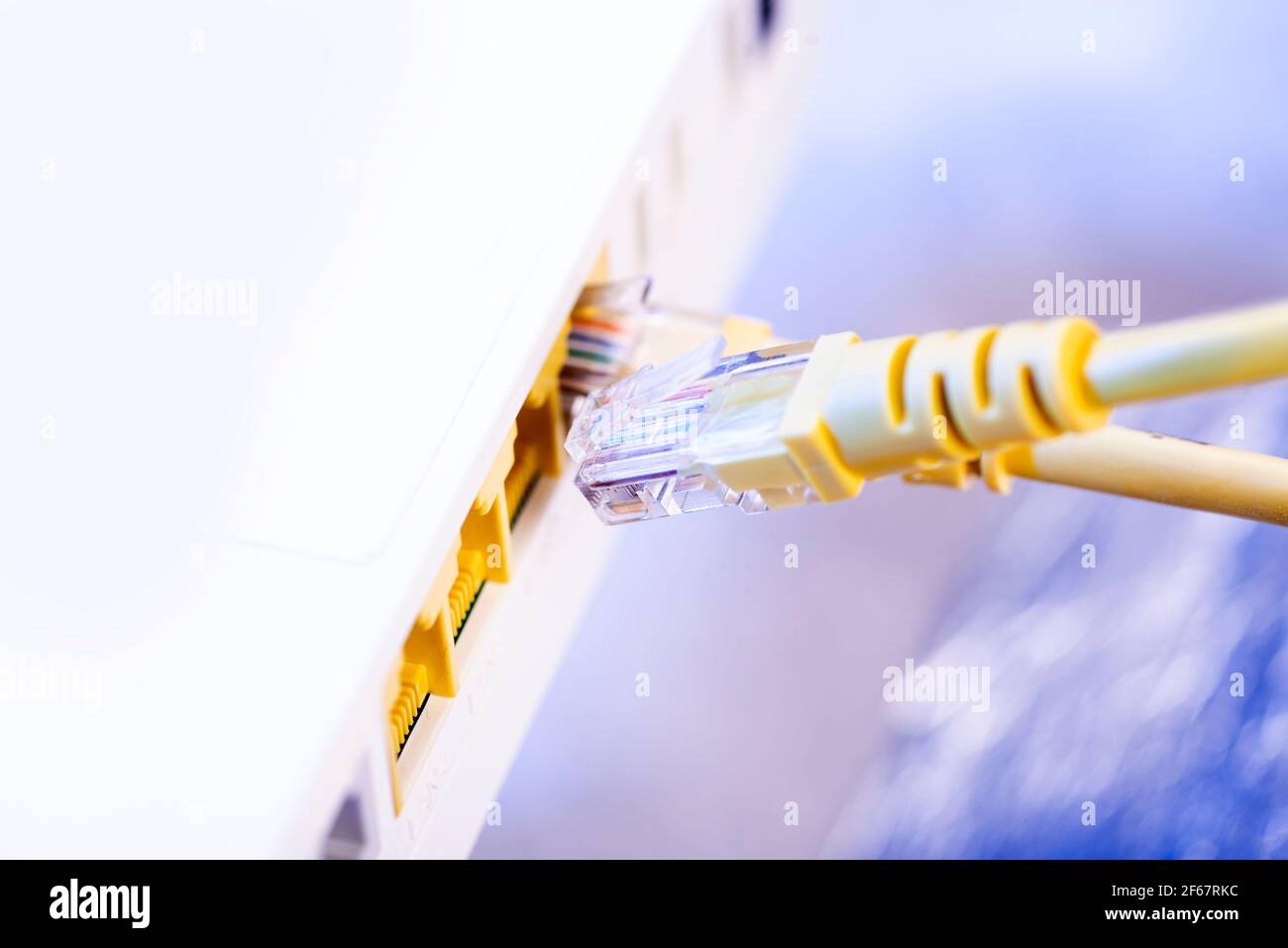 Two network cables connected to the hub Stock Photo - Alamy