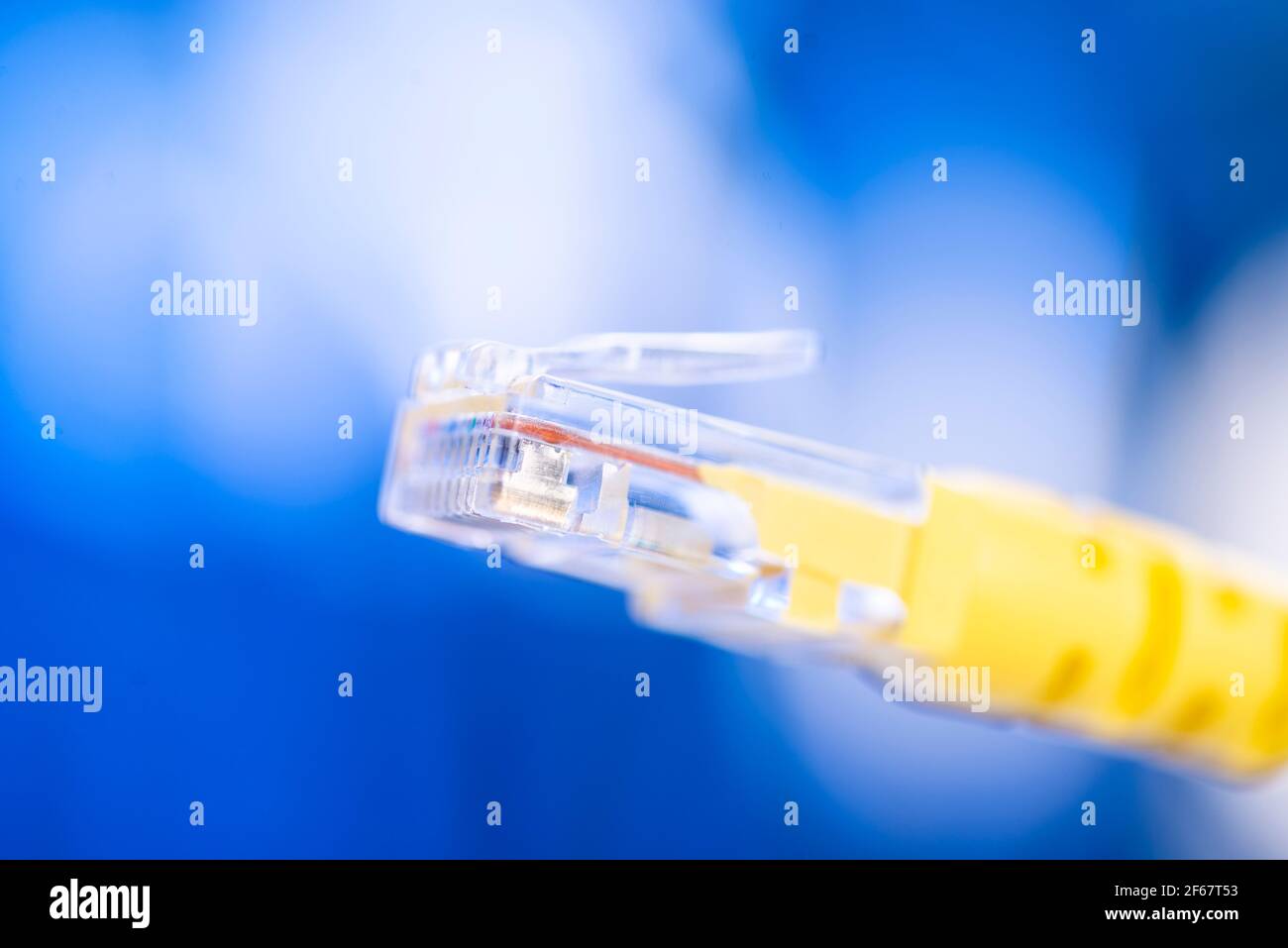Network cable for connection to the hub Stock Photo - Alamy