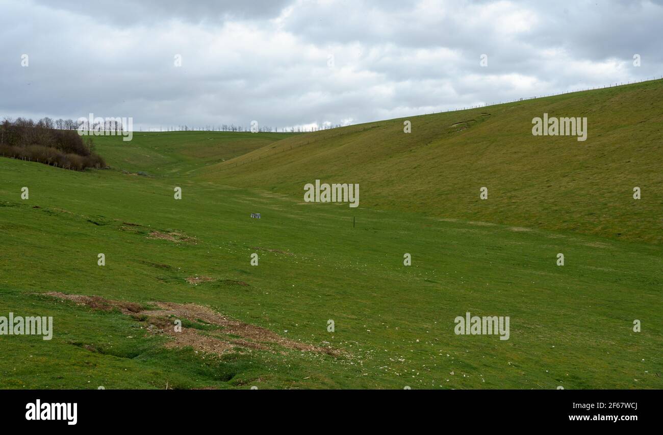 Rabbit warren hi-res stock photography and images - Alamy