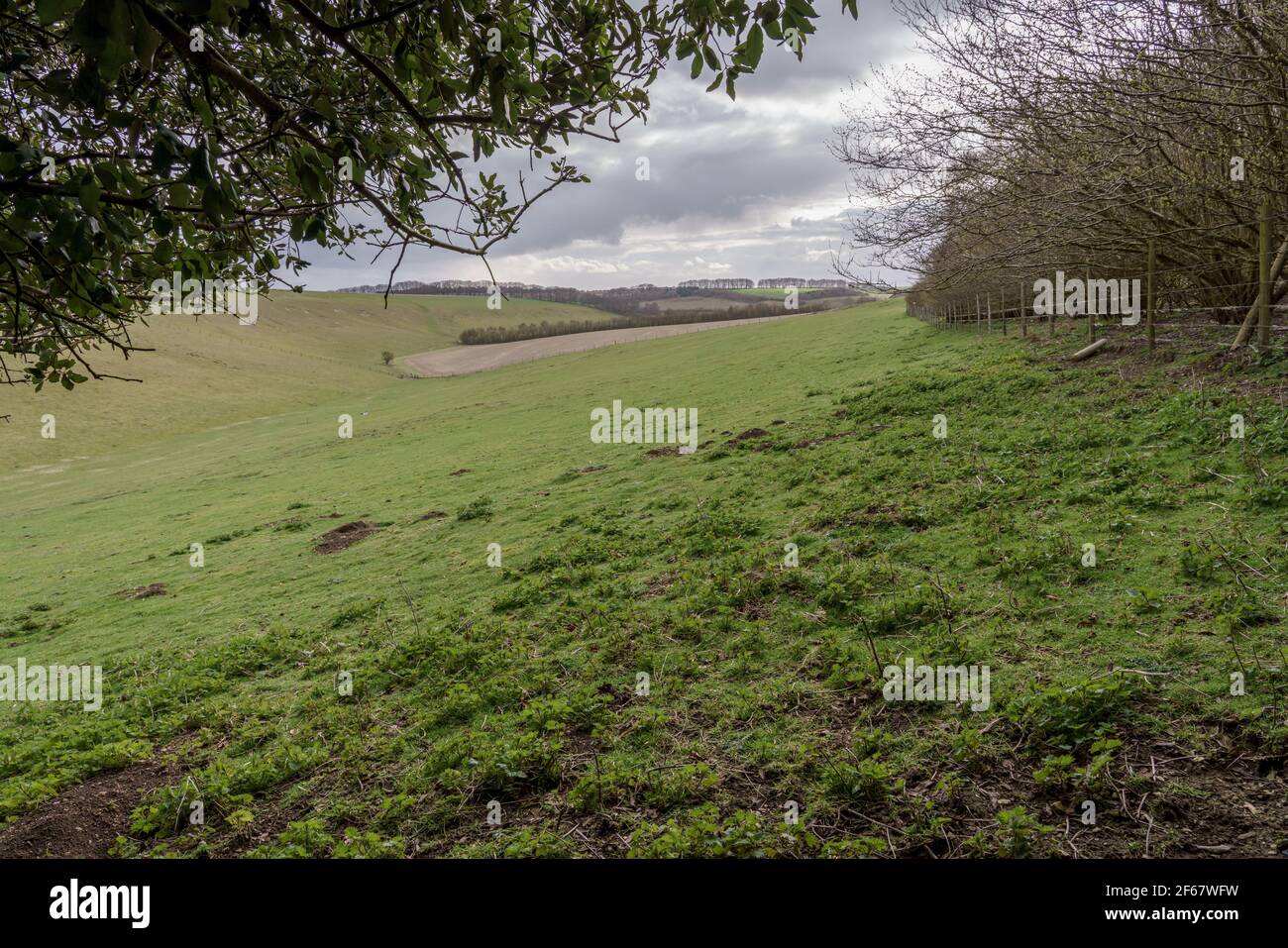 view up a rabbit warren strewn valley on the up-faulted Southern edge ...