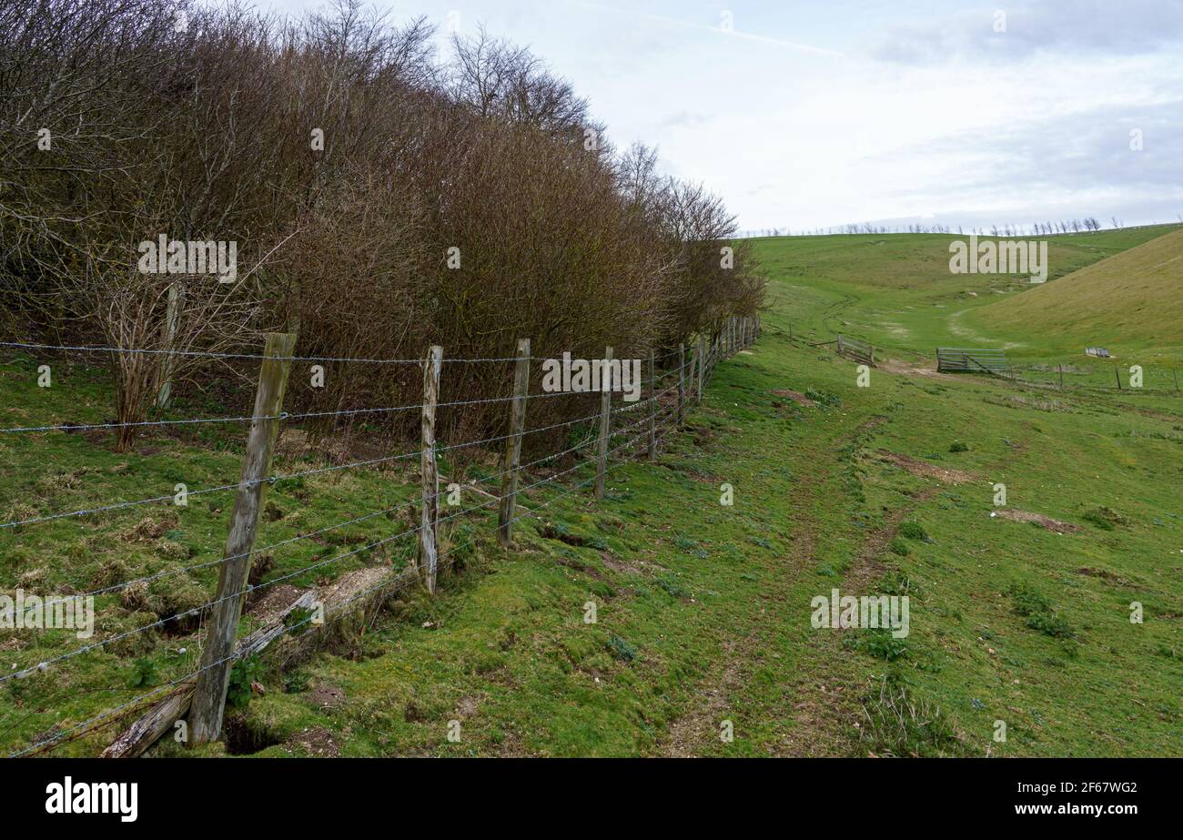 Rabbit warren hi-res stock photography and images - Alamy