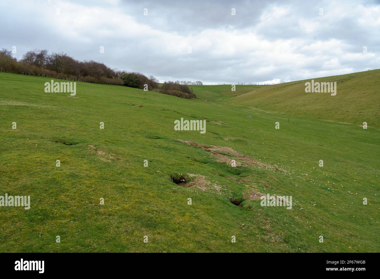 Rabbit warren hi-res stock photography and images - Alamy
