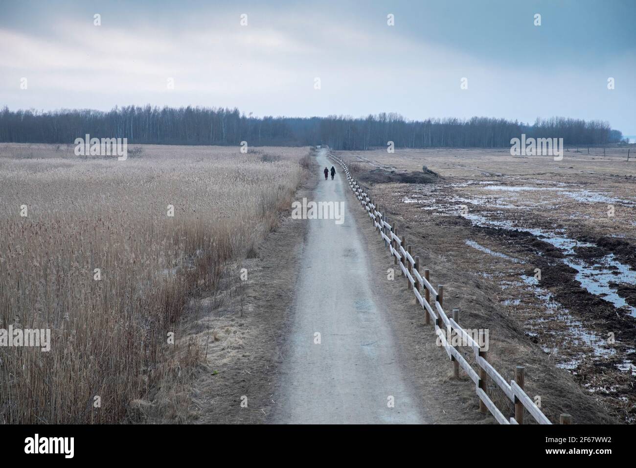 Spring tallinn hi-res stock photography and images - Alamy