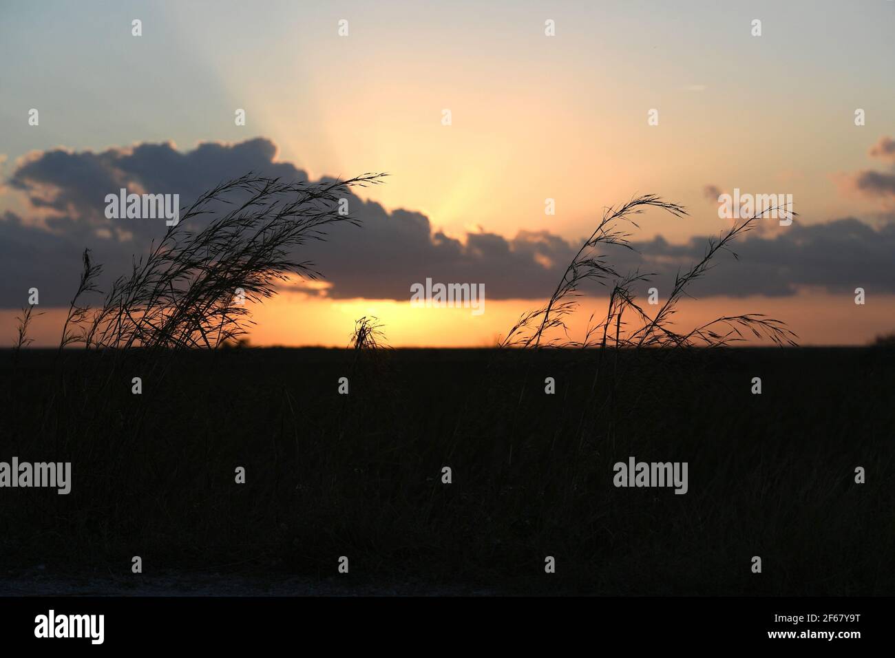 Miami - FL - 20201220 A general view of the sun setting over the ...