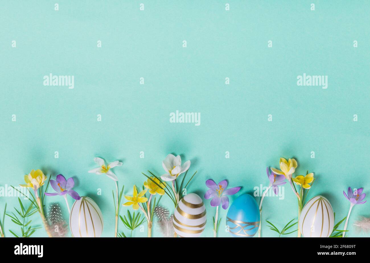 Festive Easter border, frame from easter eggs and spring flower crocus ...