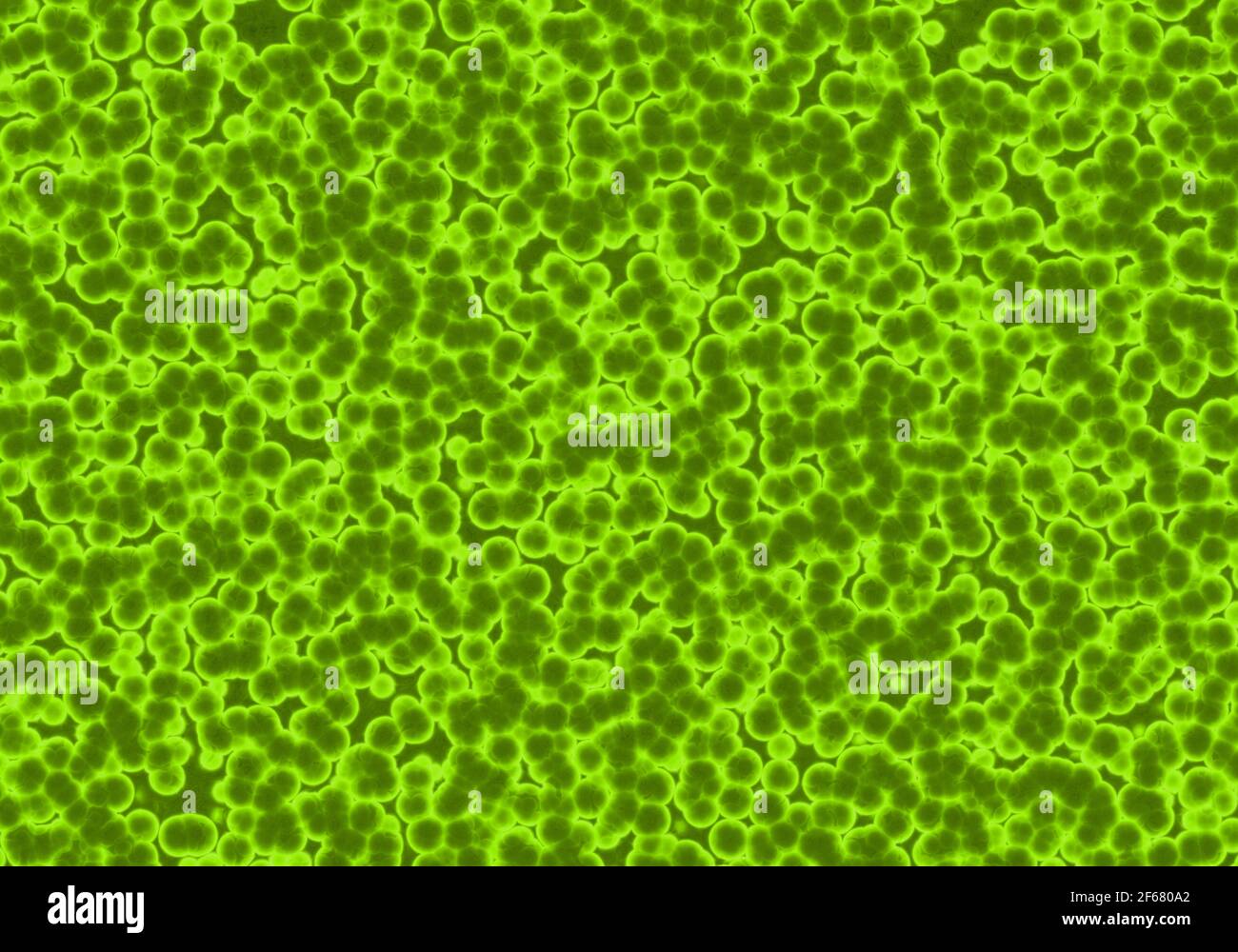 many twisted green bio cells backgrounds Stock Photo - Alamy