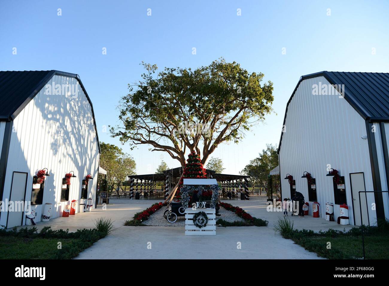 Miami - FL - 20201209 A general view of the sunflower fields at The ...