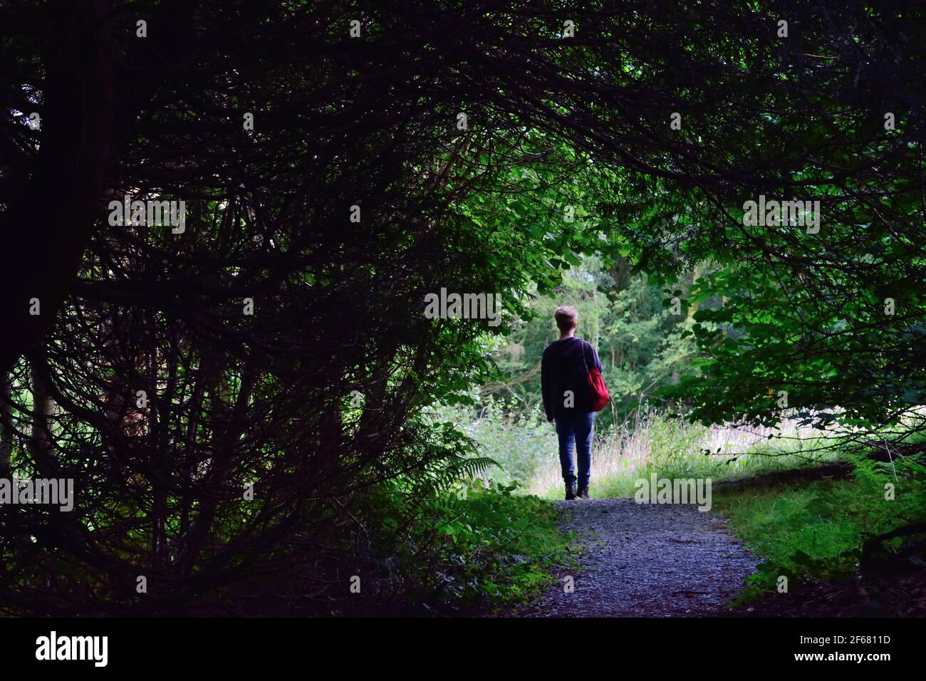 Man walking down woodland hi-res stock photography and images - Alamy