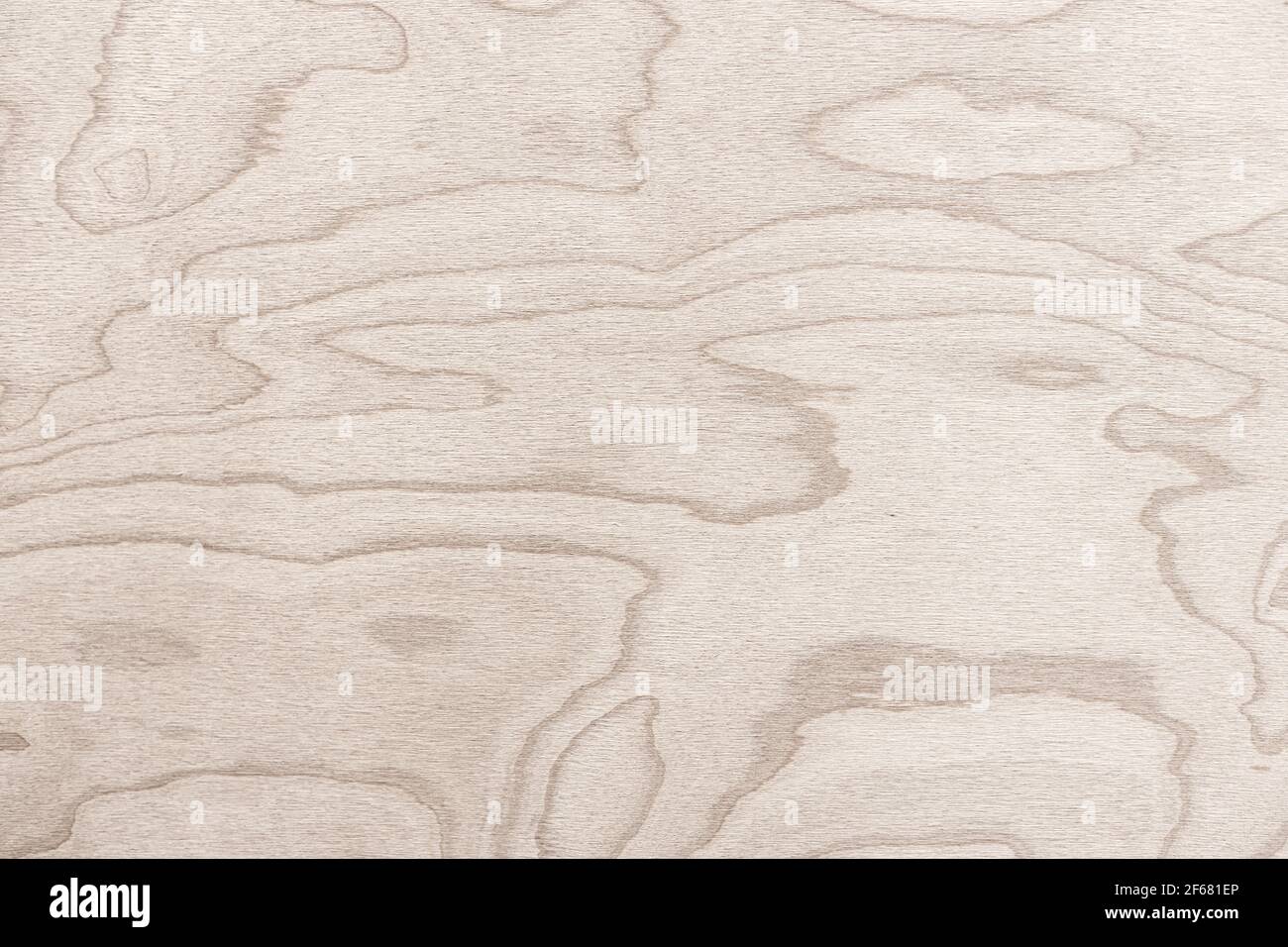 Plywood sheet close-up. The texture of the tree. Flat layout Stock ...