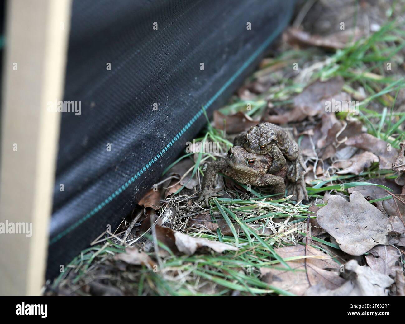Go under barrier hi-res stock photography and images - Alamy