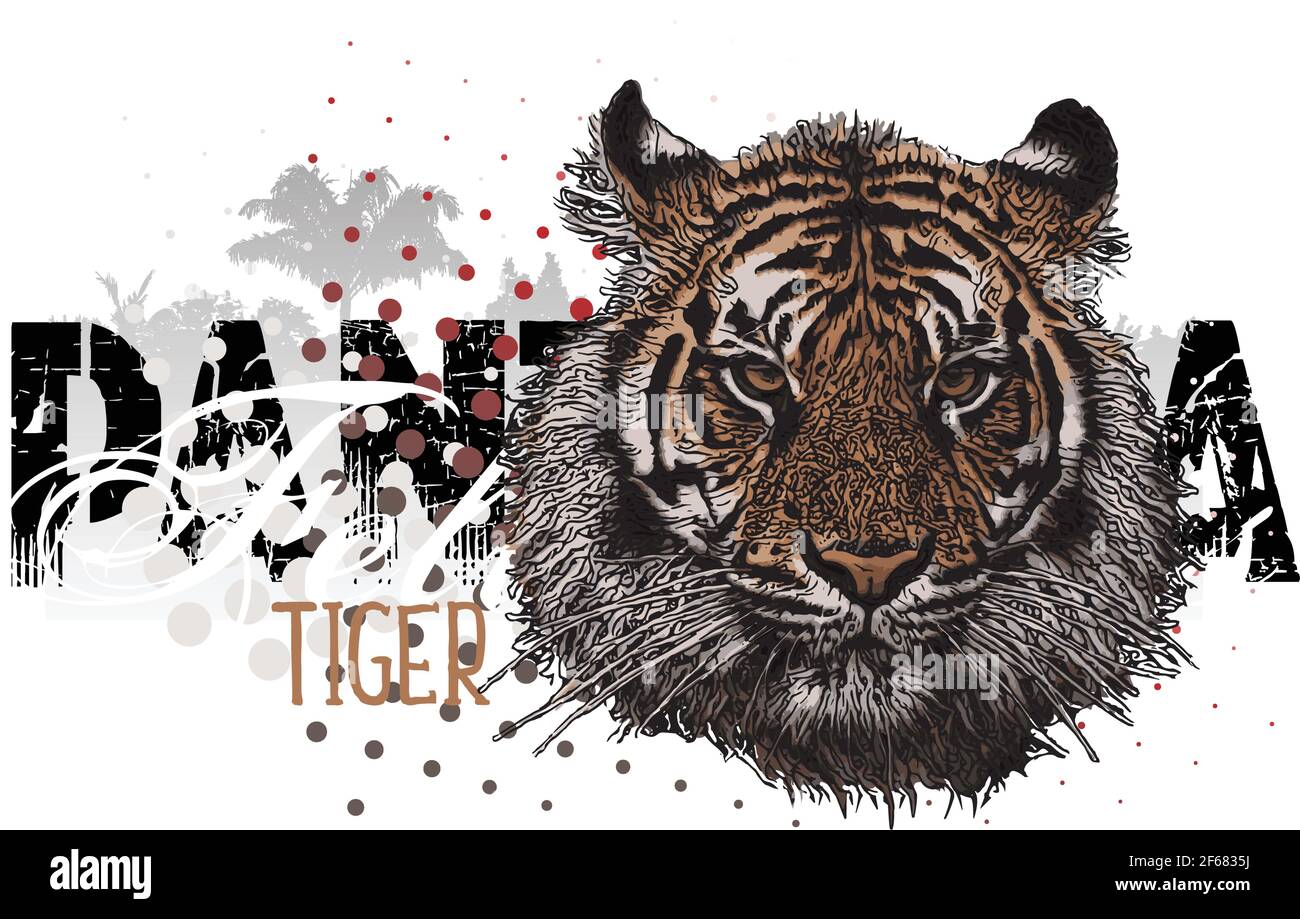 Tiger Banner Vector Illustration Stock Vector Image & Art - Alamy