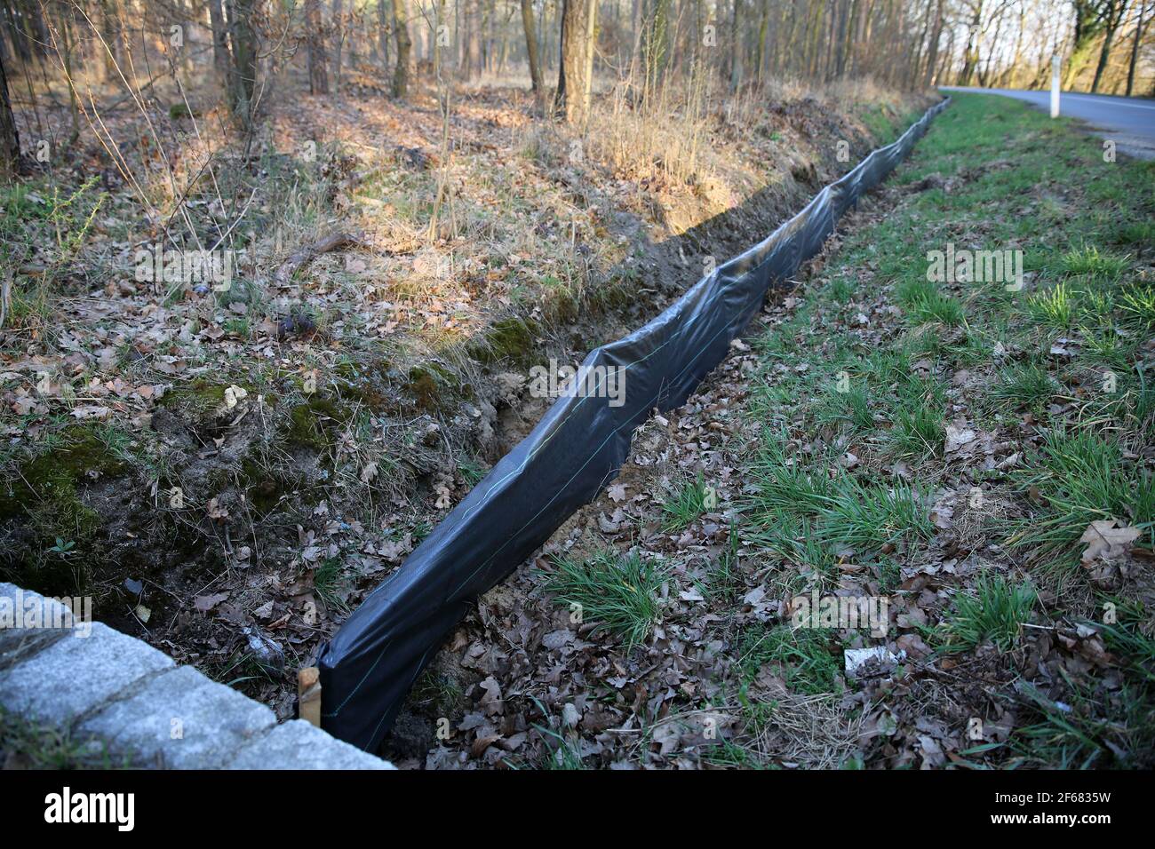Frog Fence High Resolution Stock Photography and Images - Alamy