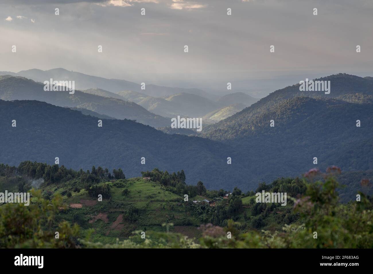 Ugandas ecosystem hi-res stock photography and images - Alamy