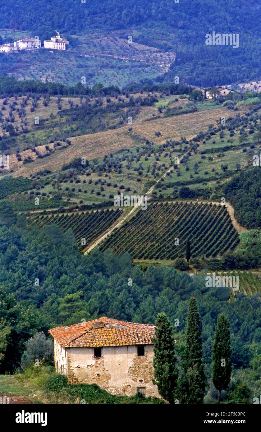 Tuscan farmhouse in agricultural landscape, Italy Stock Photo - Alamy
