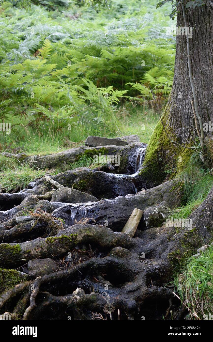 Small waterfall lake district uk hi-res stock photography and images ...