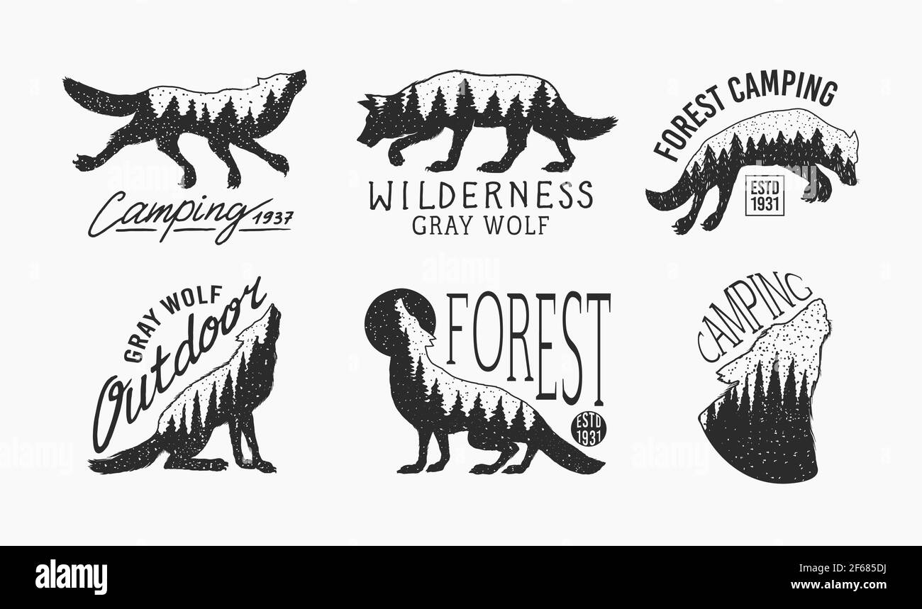 Gray wolf logo and badge. Forest and mountain and hill. Double exposure ...