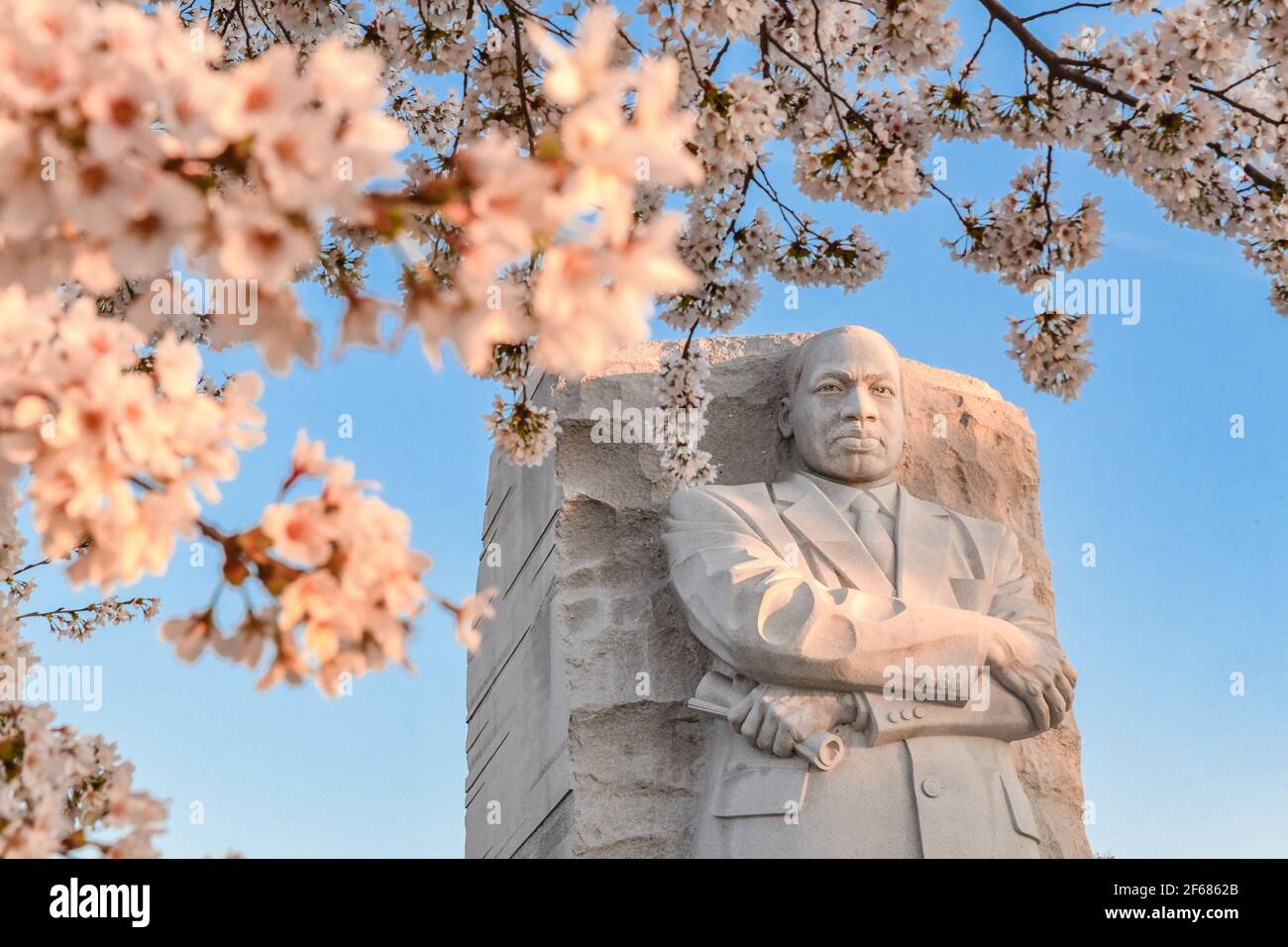 Martin luther king cherry blossom hi-res stock photography and images ...