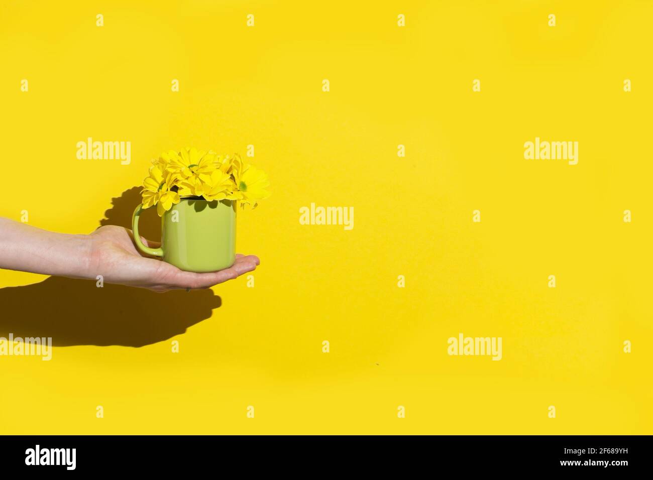 Yellow flowers in the cup spring concept morning routine hot drink ...