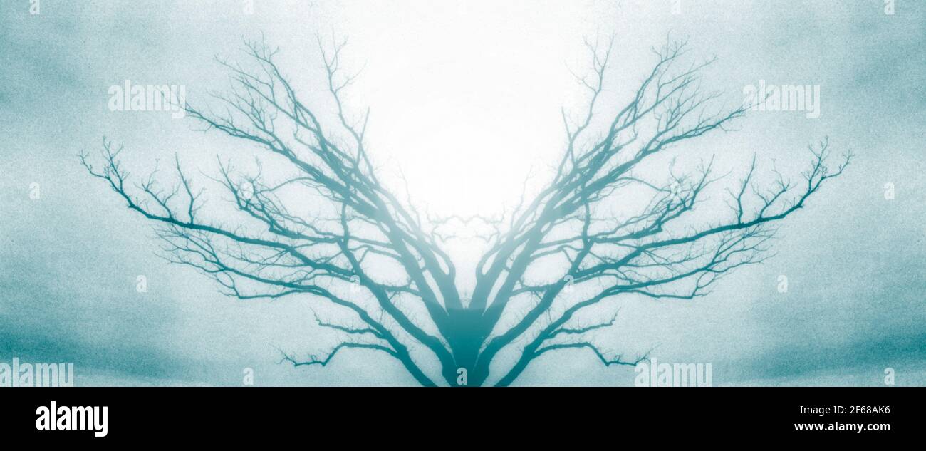 Mystic Tree of Life. Sun light. 3D rendering Stock Photo - Alamy