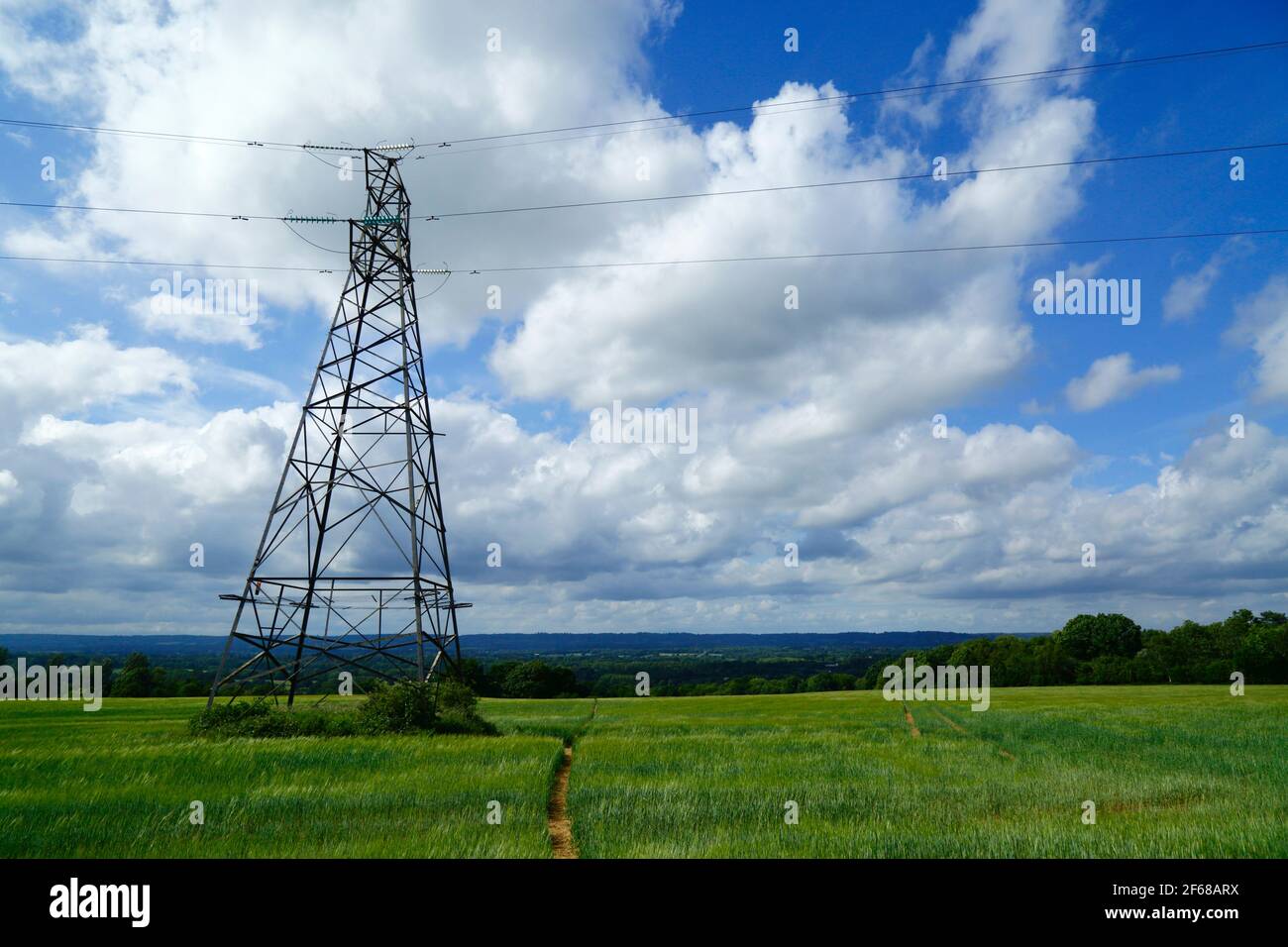 Electricity pylon and Wealdway long distance footpath crossing field of ...