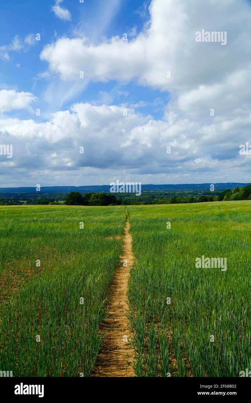 Wealdway hi-res stock photography and images - Alamy