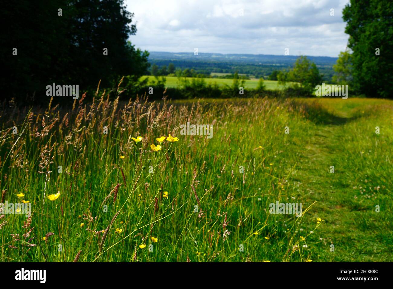 Wealden countryside kent hi-res stock photography and images - Alamy
