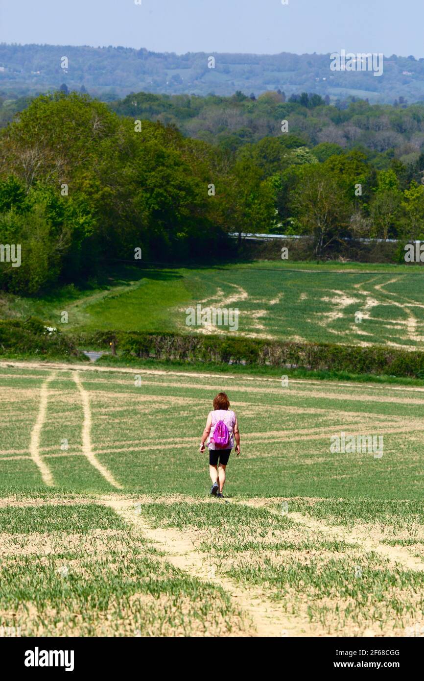 Tourism back on track hi-res stock photography and images - Alamy