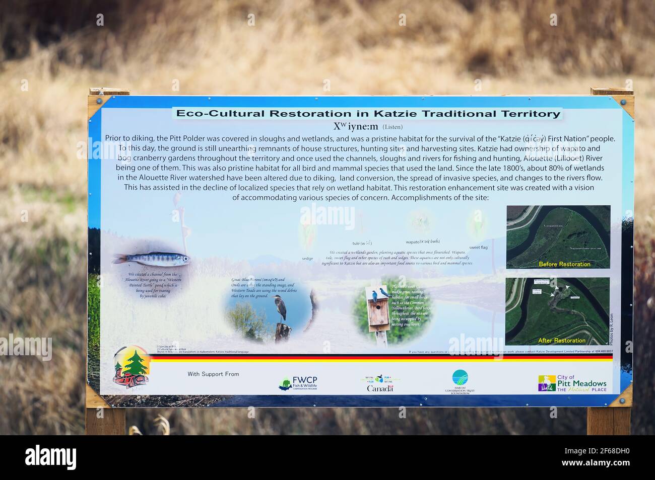 Eco-Cultural Restoration sign in Katzie Traditonal Territory. Pitt ...