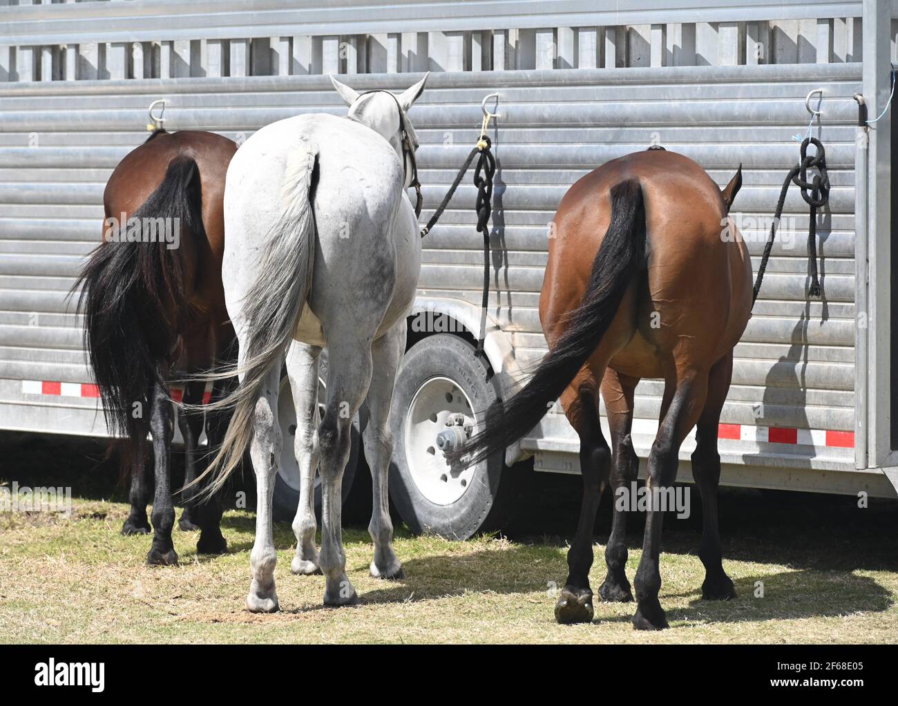 Maureen brennan hi-res stock photography and images - Alamy