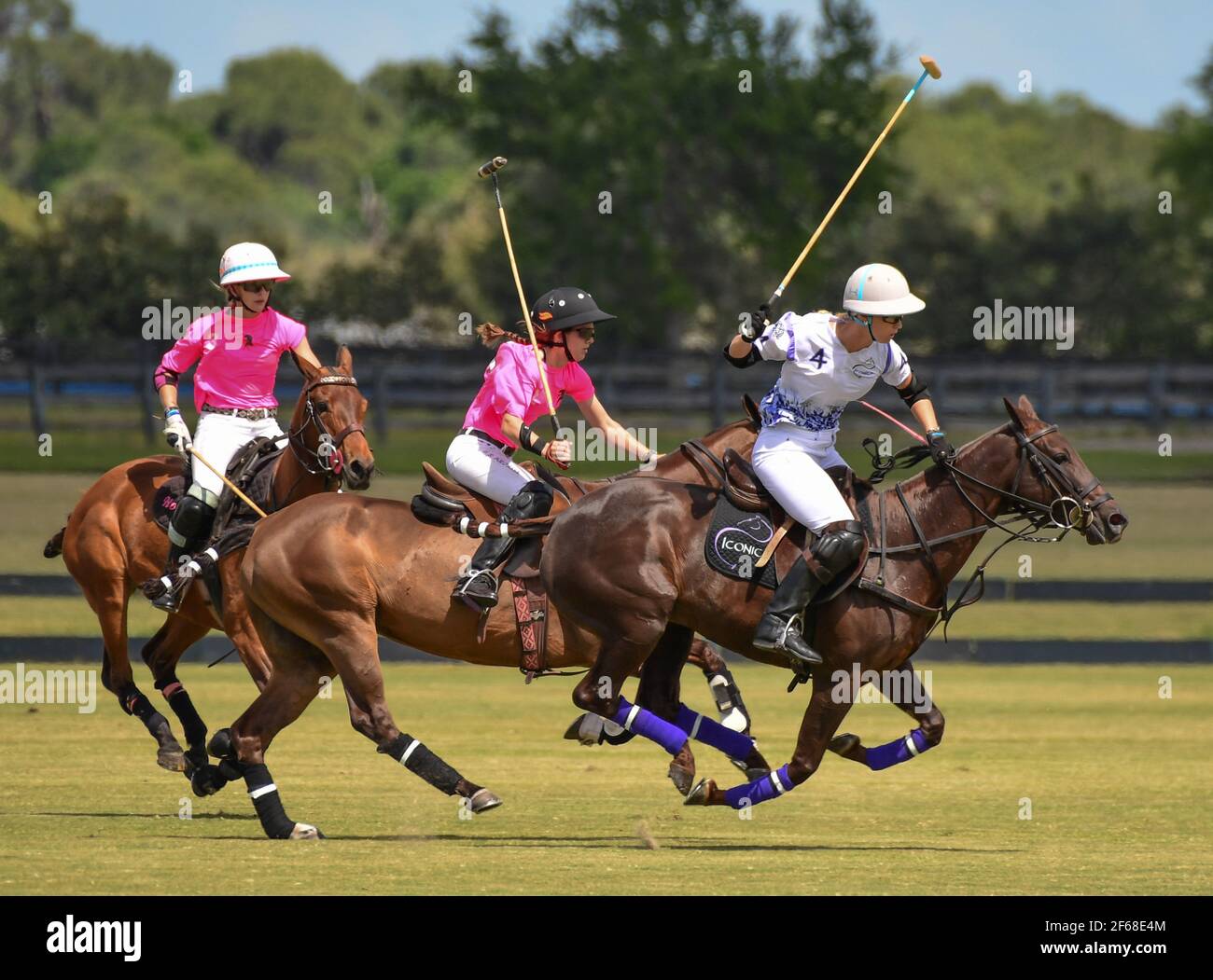 Maureen flanagan hi-res stock photography and images - Alamy