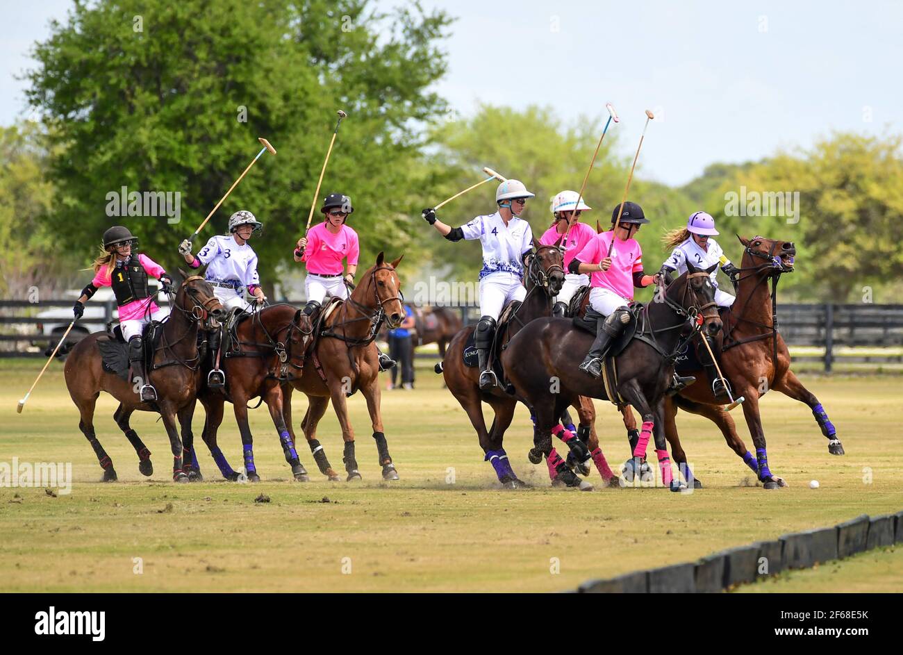 DUNDAS VS ICONICA 2021 WOMENS POLO CHAMPIONSHIPS, held in Port Mayaca ...