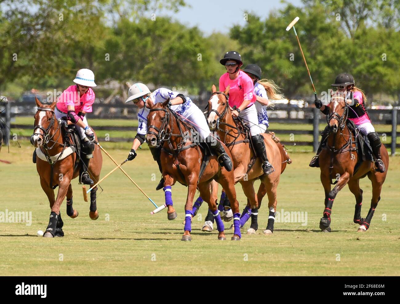 DUNDAS VS ICONICA 2021 WOMENS POLO CHAMPIONSHIPS, held in Port Mayaca ...