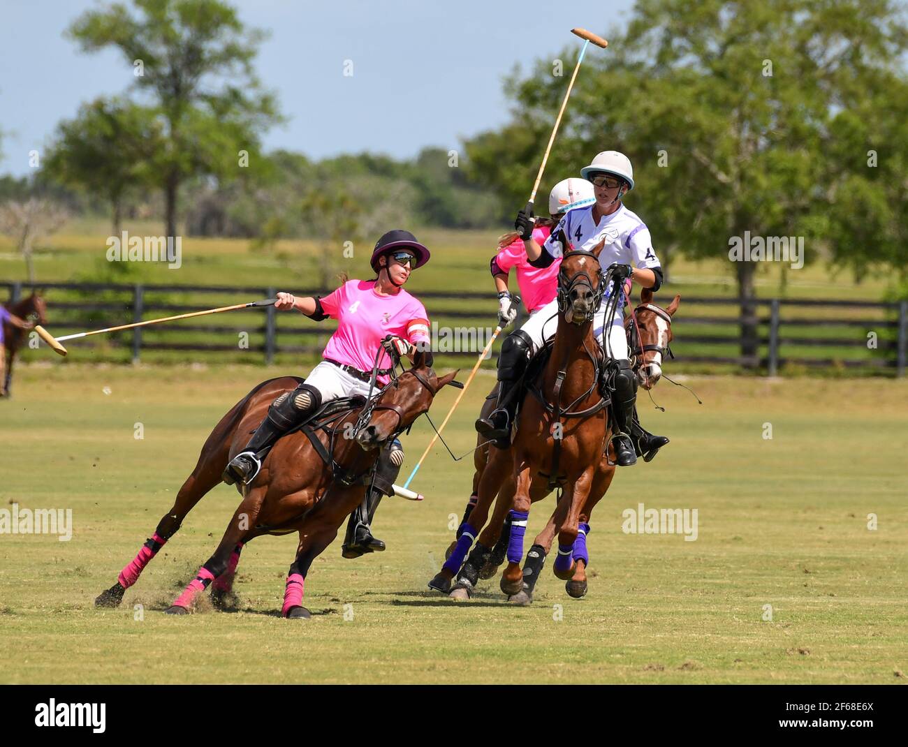 Maureen flanagan hi-res stock photography and images - Alamy