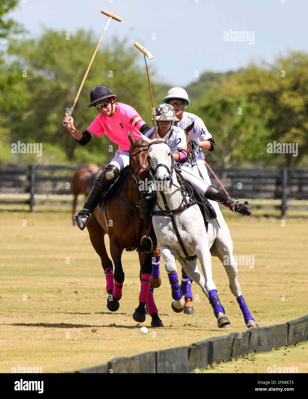 DUNDAS VS ICONICA 2021 WOMENS POLO CHAMPIONSHIPS, held in Port Mayaca ...