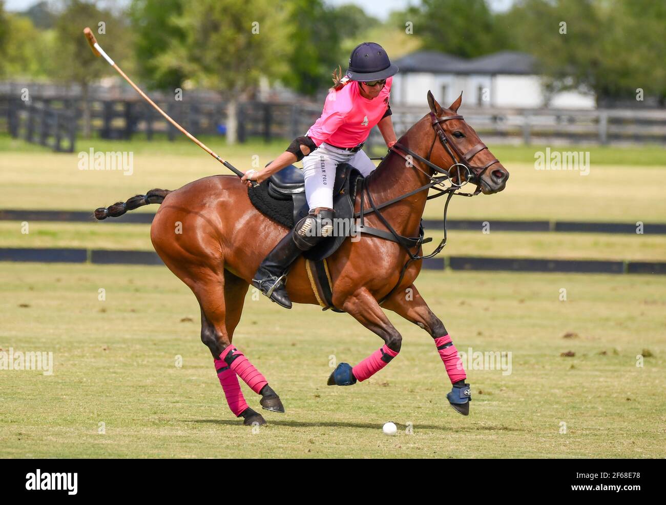 Maureen flanagan hi-res stock photography and images - Alamy