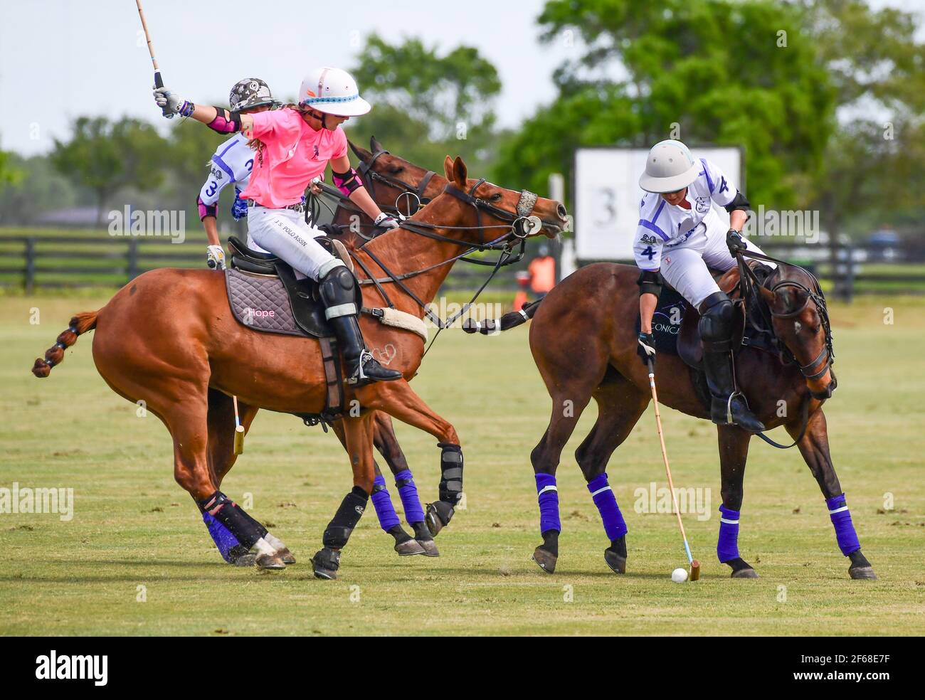 Maureen flanagan hi-res stock photography and images - Alamy